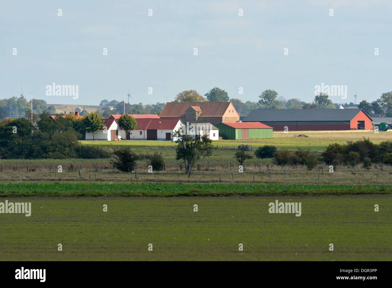Farm buildings in the flat country in southern Scania Stock Photo - Alamy