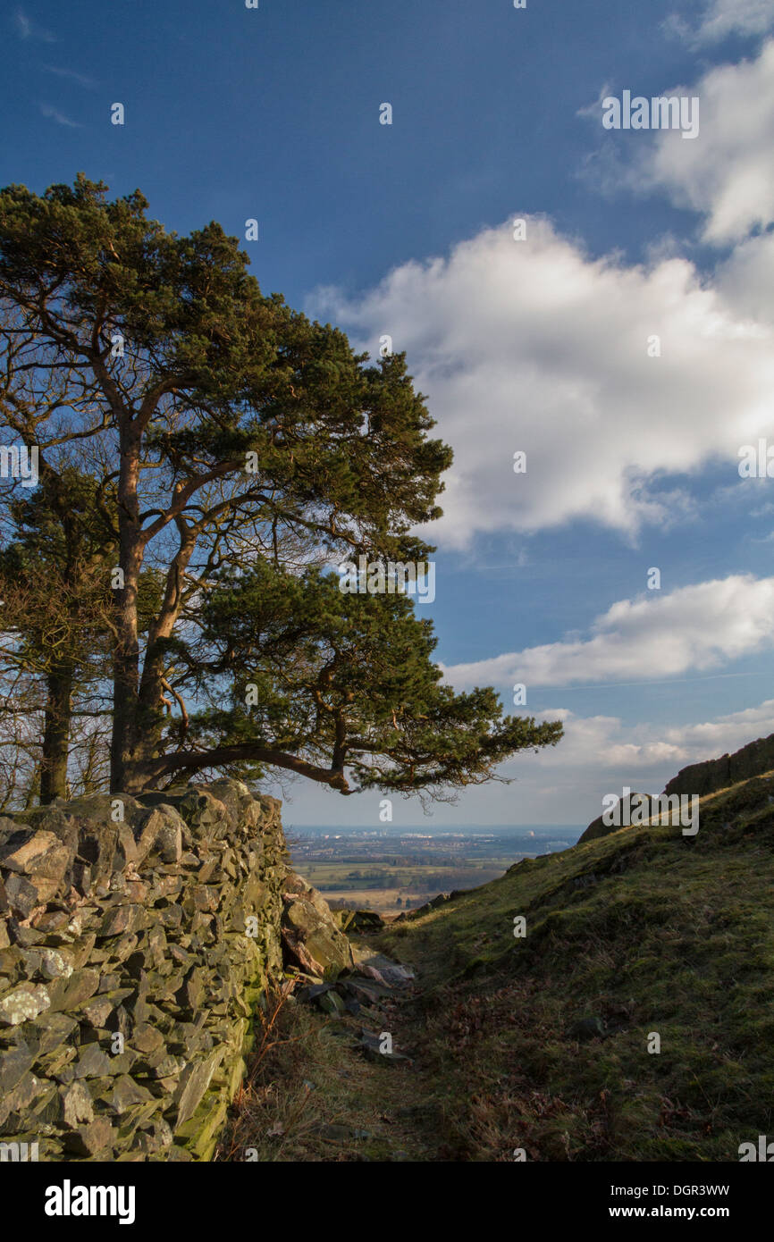 Tree clouds sky and wall hi-res stock photography and images - Alamy
