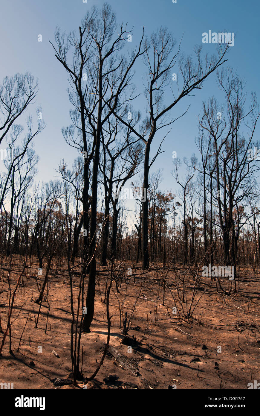 Fire dried earth hi-res stock photography and images - Alamy