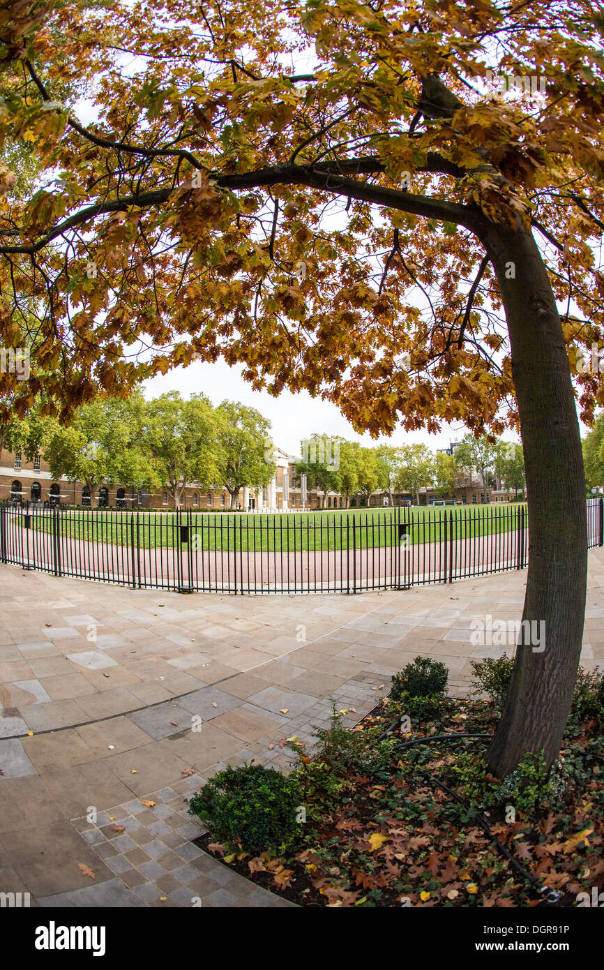 Cherry Tree Old Chelsea Barracks Kings Road London UK Stock Photo - Alamy