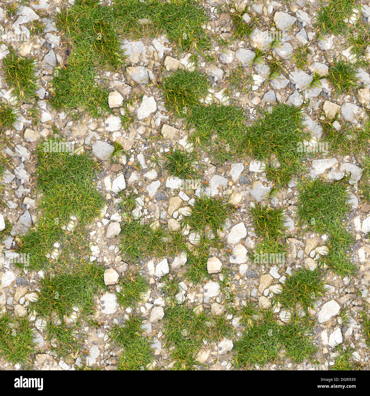 Dirt Texture Seamless