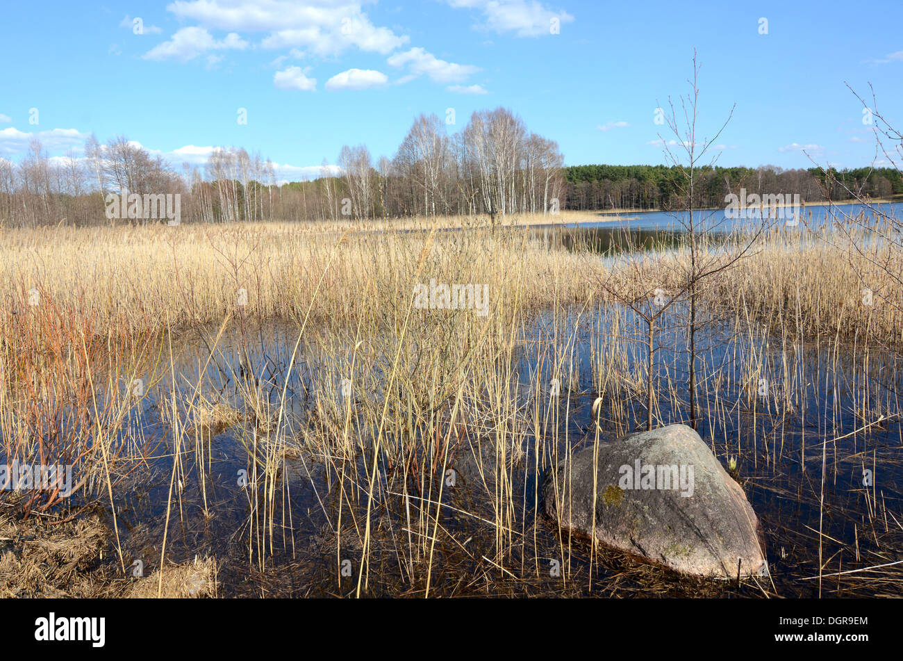 Spring landscape - lake Stock Photo - Alamy