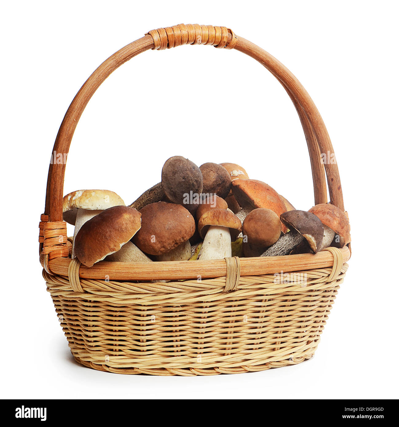 Edible boletus mushroom in Cut Out Stock Images & Pictures - Alamy