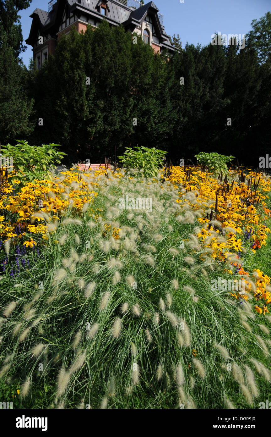 Feathertop fountain grass hi-res stock photography and images - Alamy