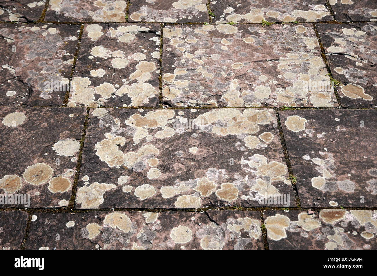 Porphyry paving hi-res stock photography and images - Alamy