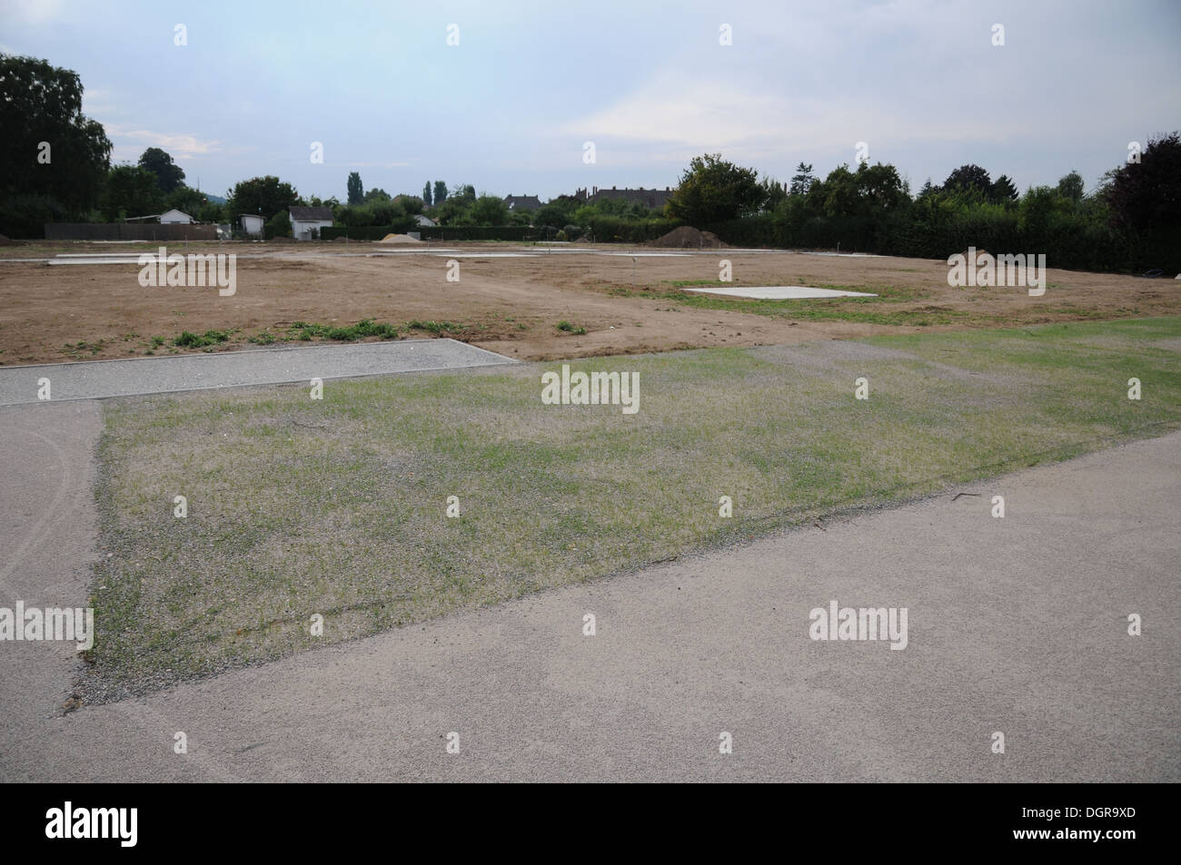 Lawn on a stone ground Stock Photo - Alamy