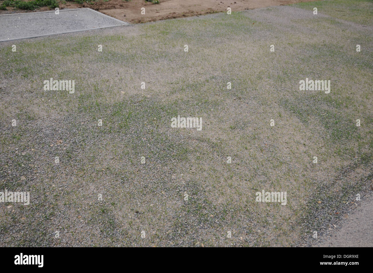 Schotterrasen hi-res stock photography and images - Alamy