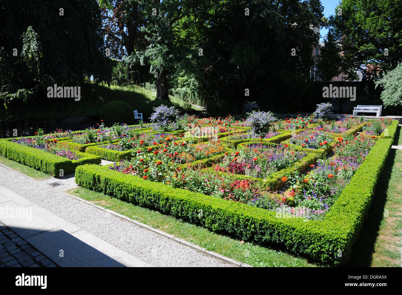 Box shrubs hi-res stock photography and images - Alamy