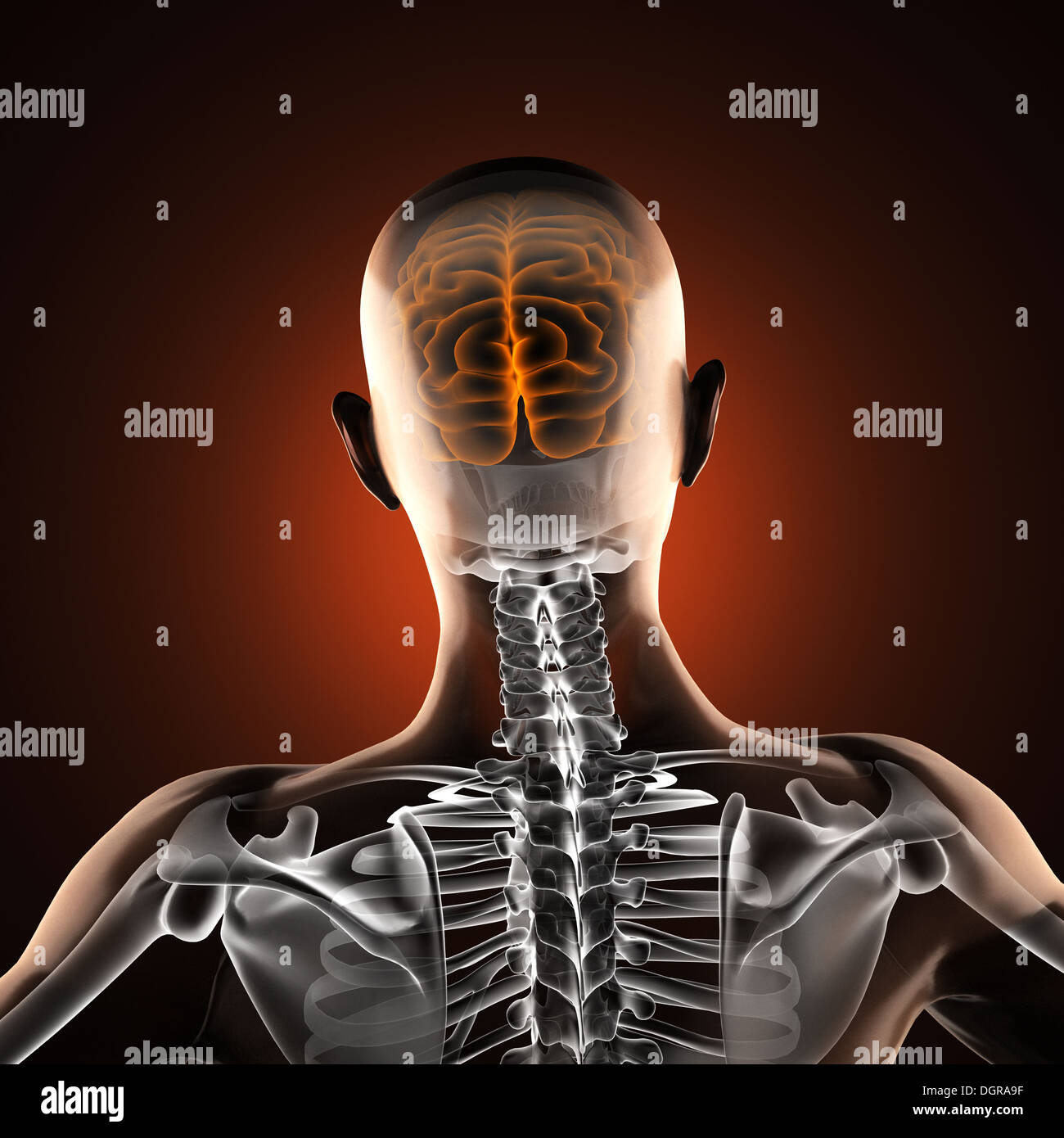 Brain scanner hi-res stock photography and images - Alamy