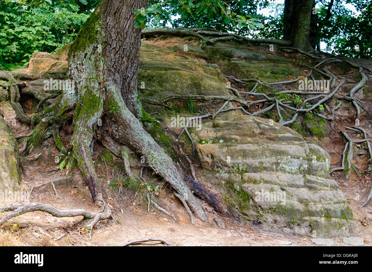 Hiking in Saxon Stock Photo - Alamy