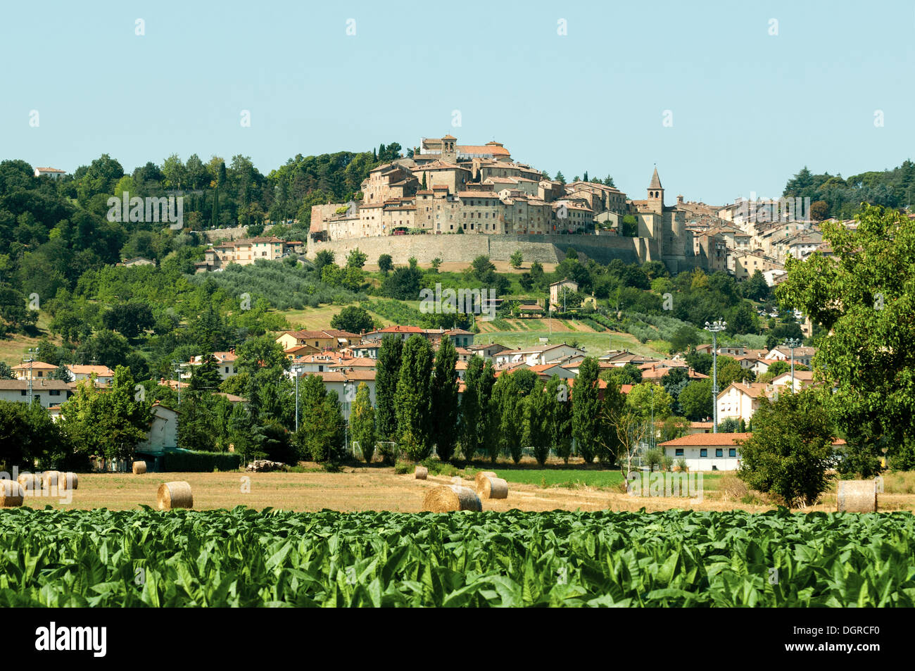 Anghiari, Tuscany, Italy Stock Photo - Alamy