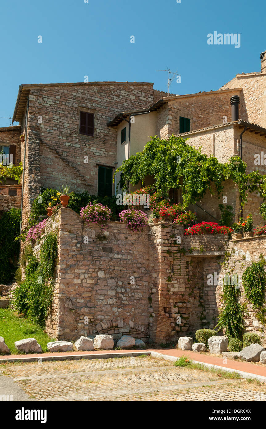 Flower Display on Old Buildings in Spello, Umbria, Italy Stock Photo ...
