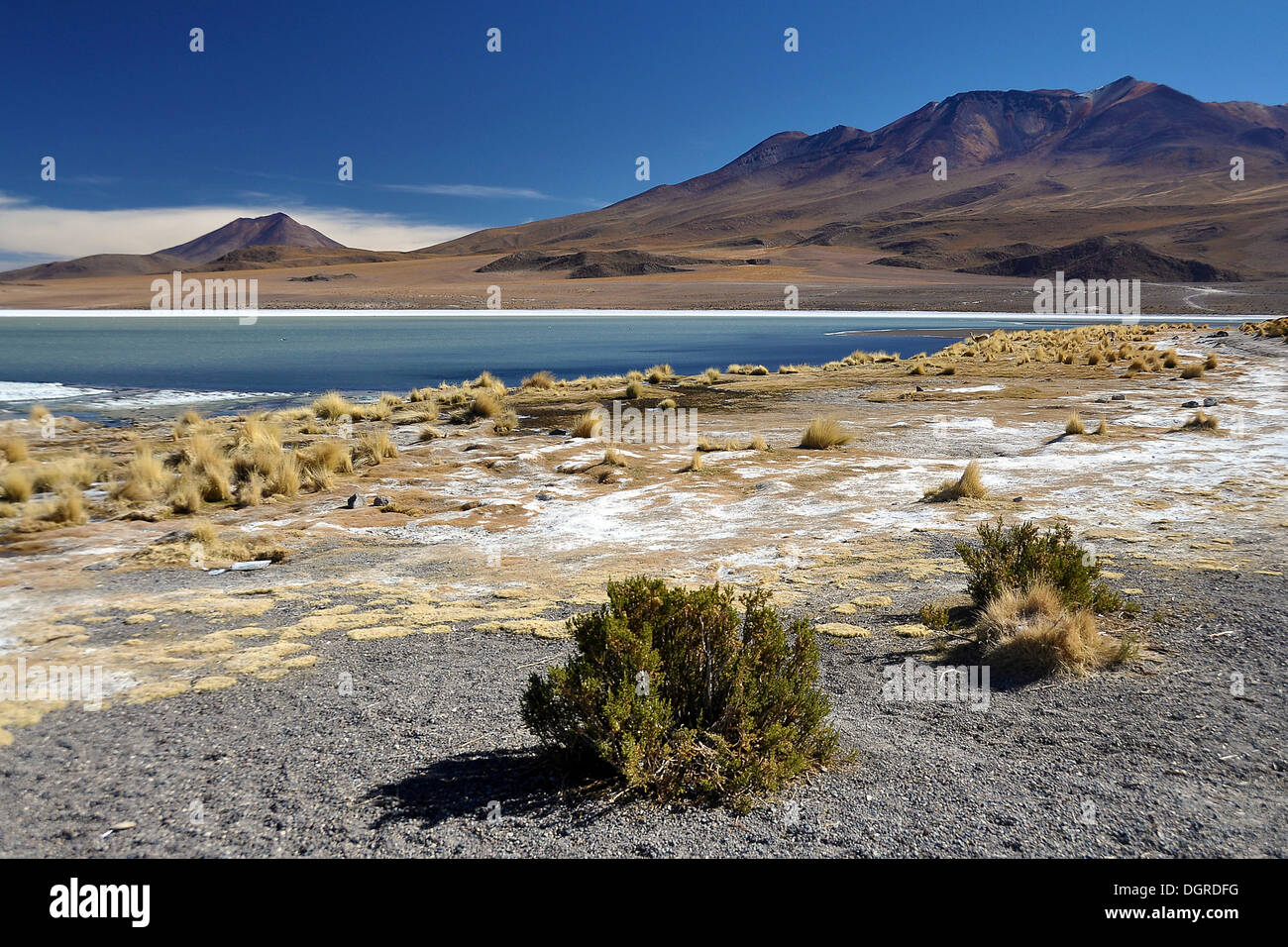 Altiplano Plateau