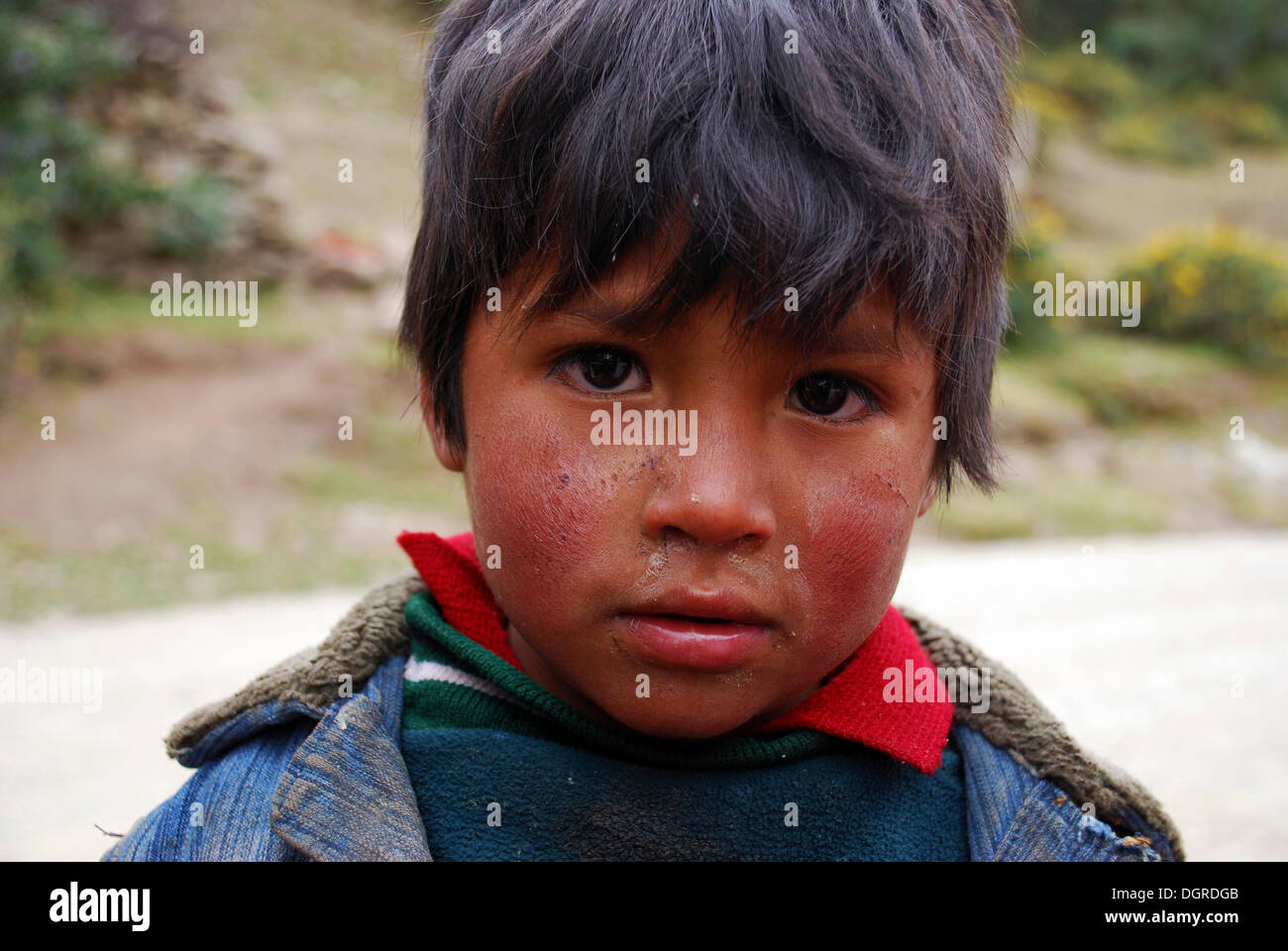 Boy of the indigenous peoples, portrait, near Cusco, Andes, Peru, South ...