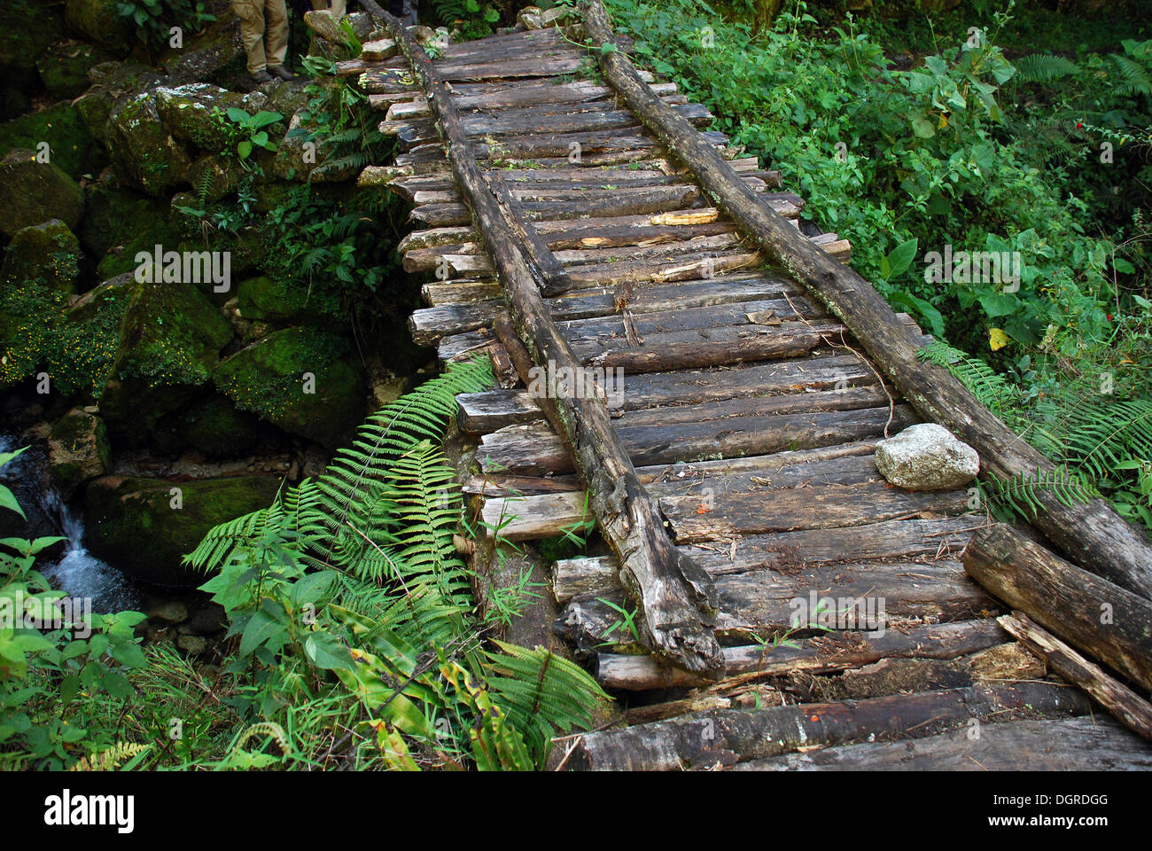 Rotten bridge hi-res stock photography and images - Alamy