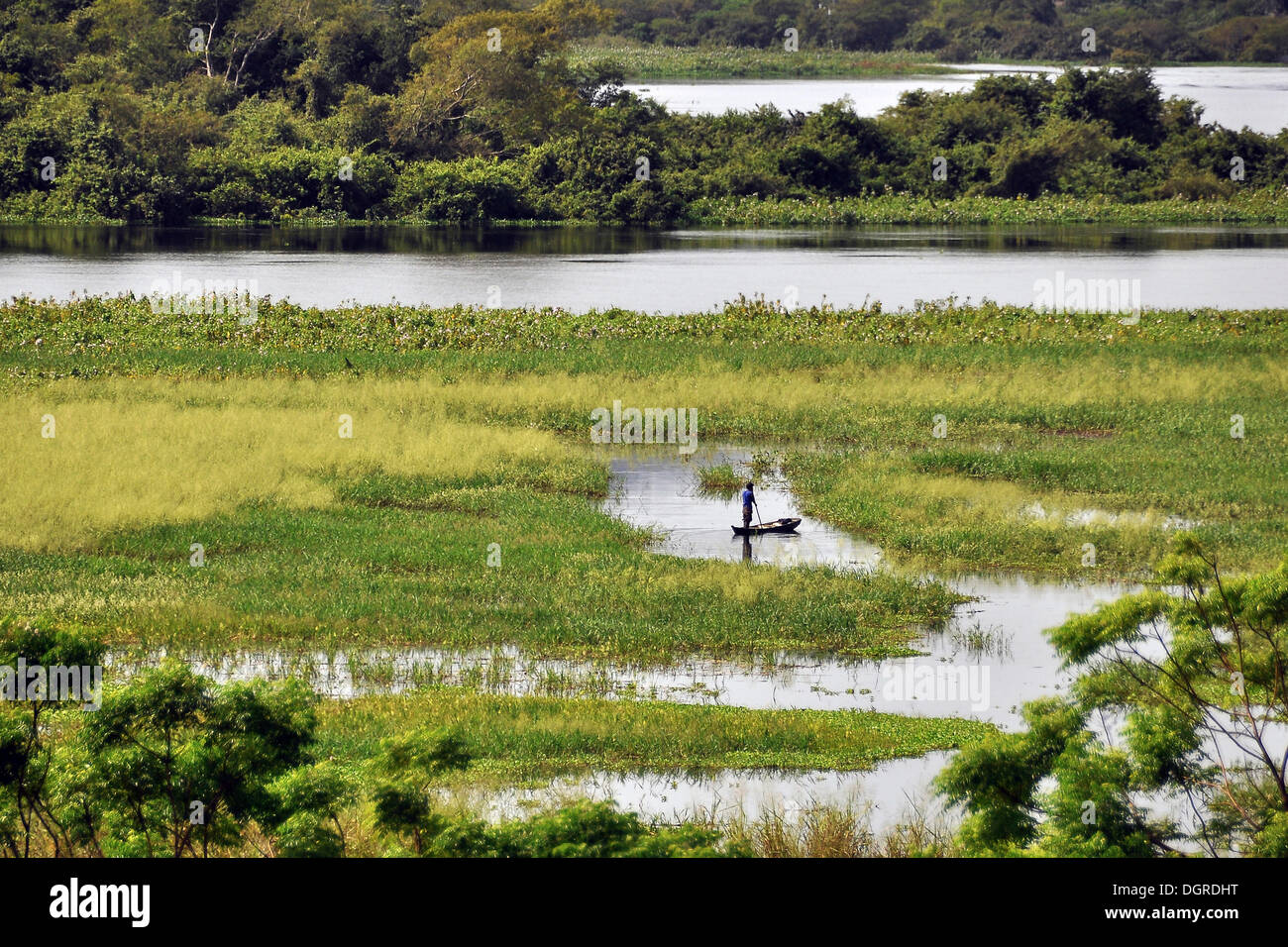 Pantanal scenery hi-res stock photography and images - Alamy