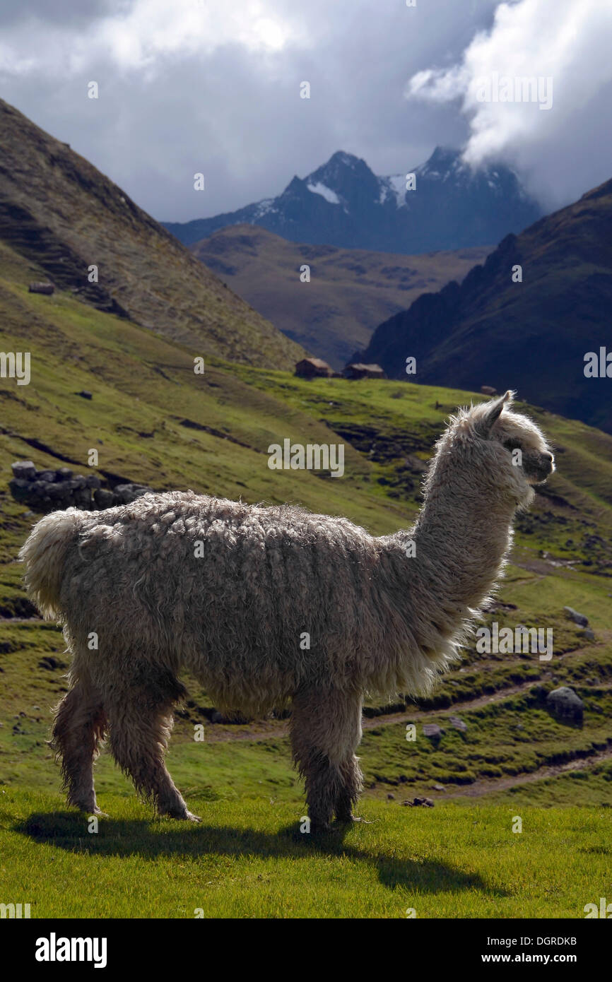 American mountain scenery hi-res stock photography and images - Alamy