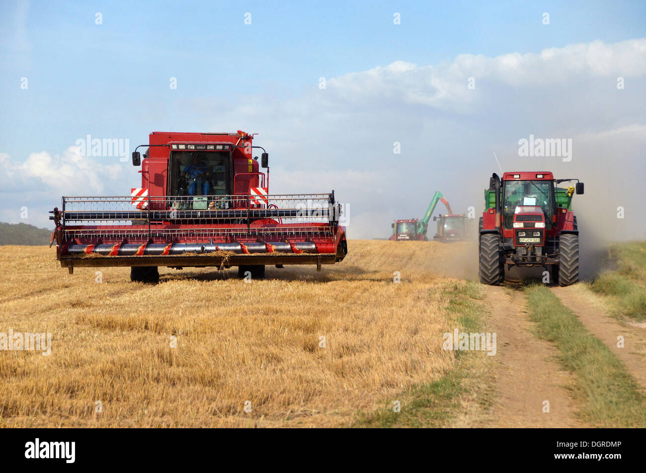 Grain harvest by machine, a combine harvester and a tractor on a ...