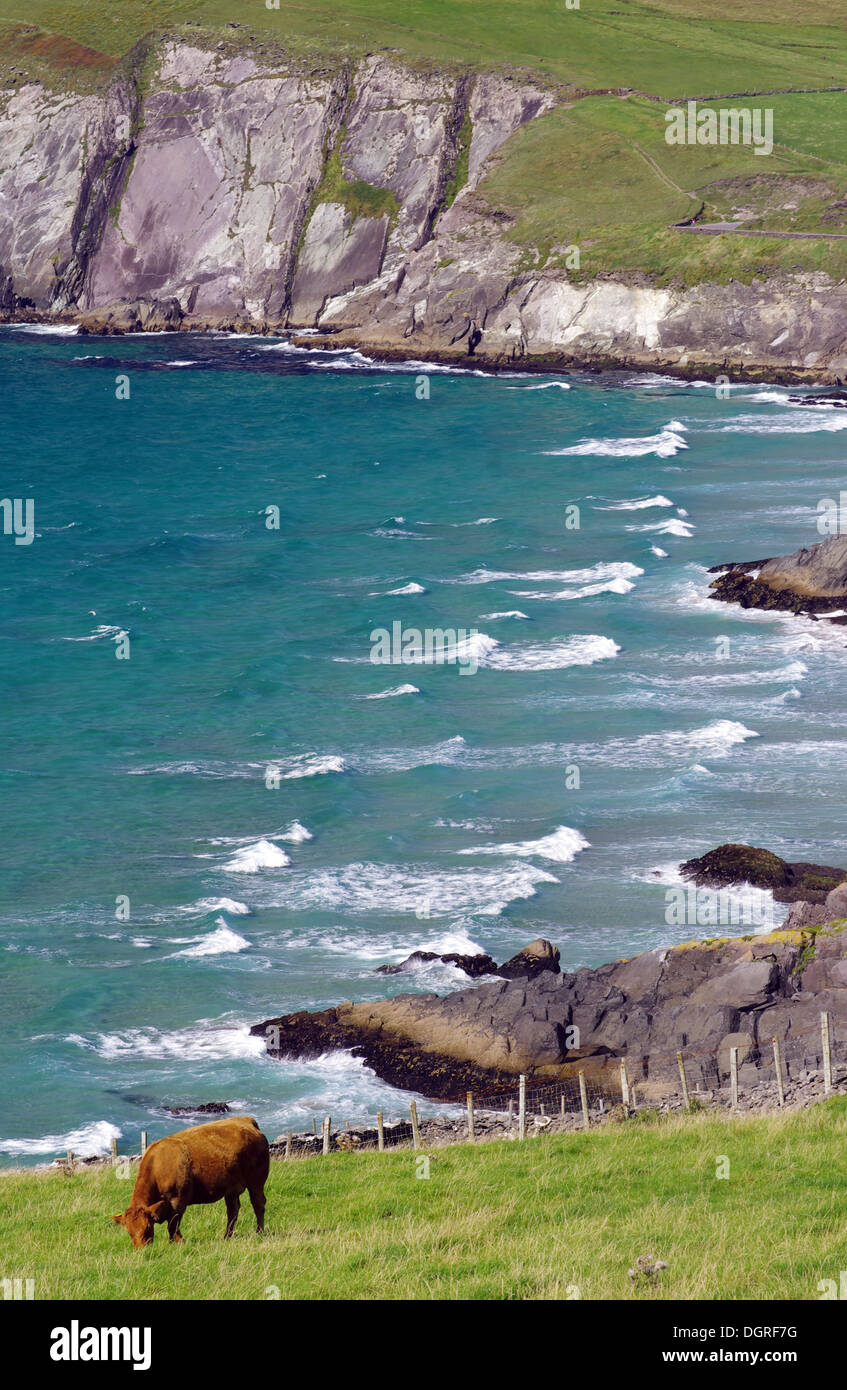 Slea head and ireland and road hi-res stock photography and images - Alamy