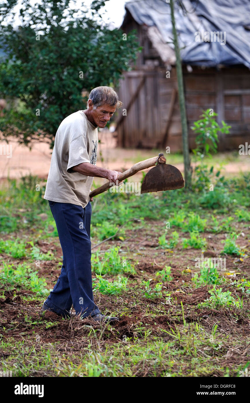 Paraguay agriculture hi-res stock photography and images - Alamy