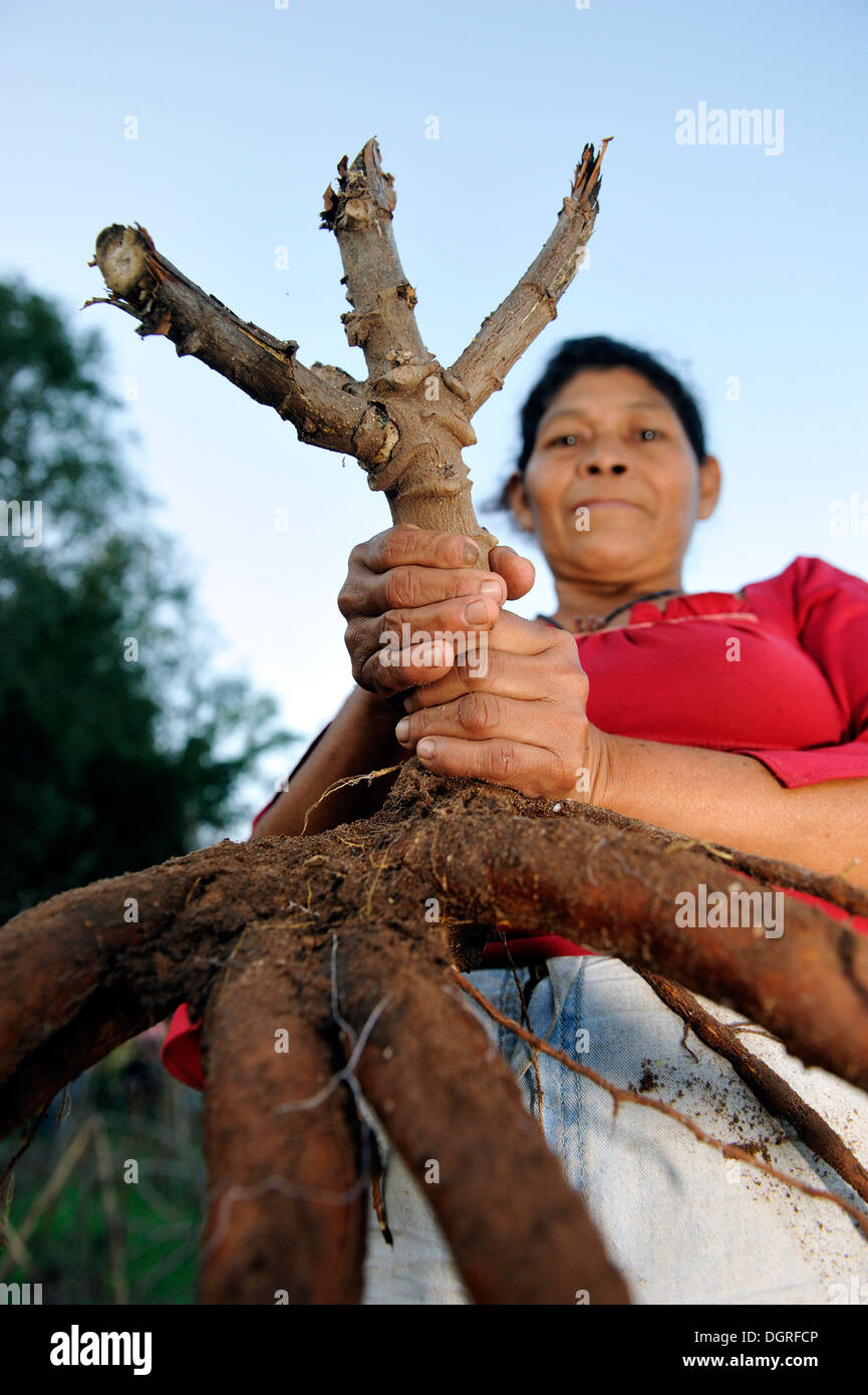 Mbya Guarani High Resolution Stock Photography and Images - Alamy
