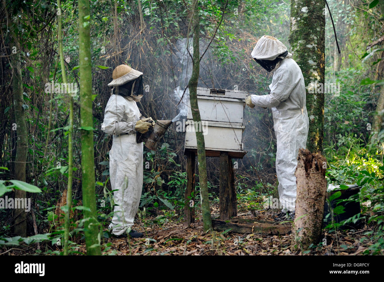 Mbya guarani hi-res stock photography and images - Alamy