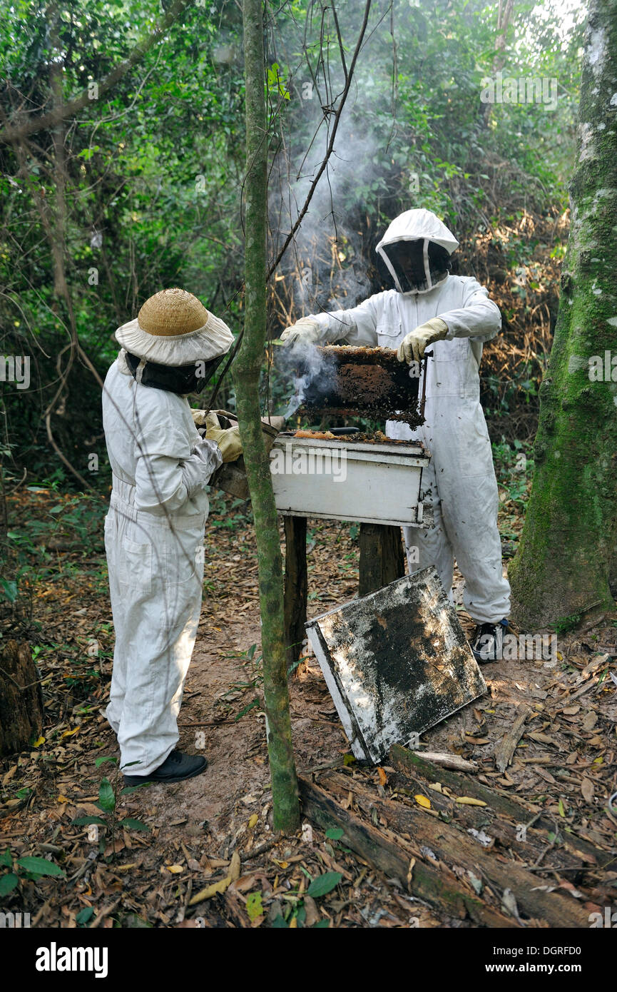 Mbya guarani hi-res stock photography and images - Alamy