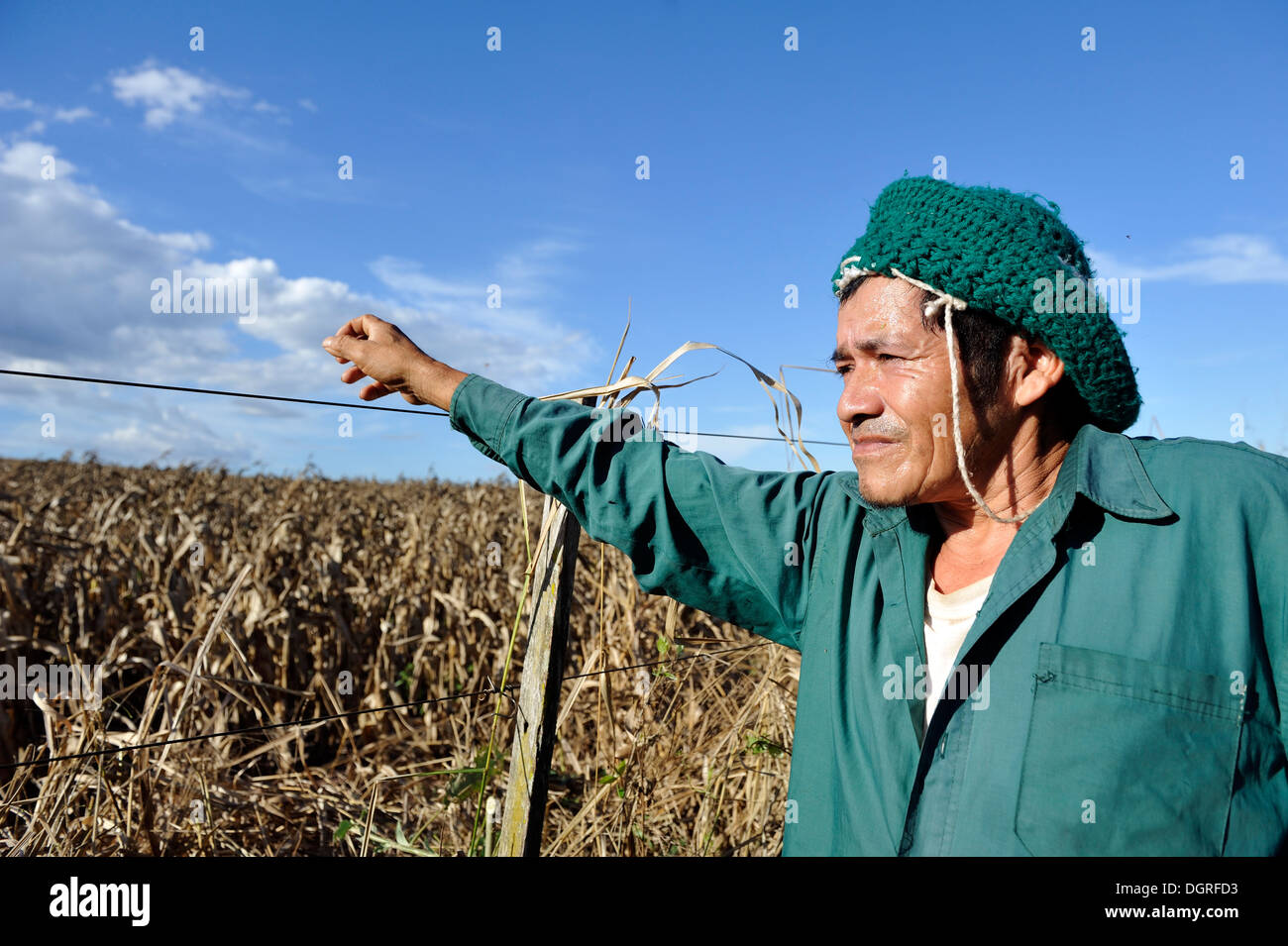 Mbya Guarani High Resolution Stock Photography and Images - Alamy