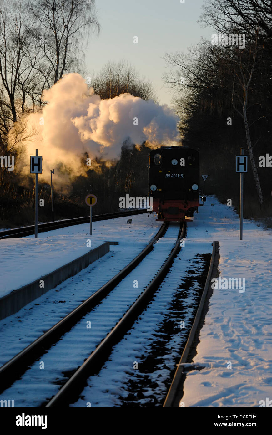 Rasender Roland, Ruegen narrow gauge train, historic steam-powered ...