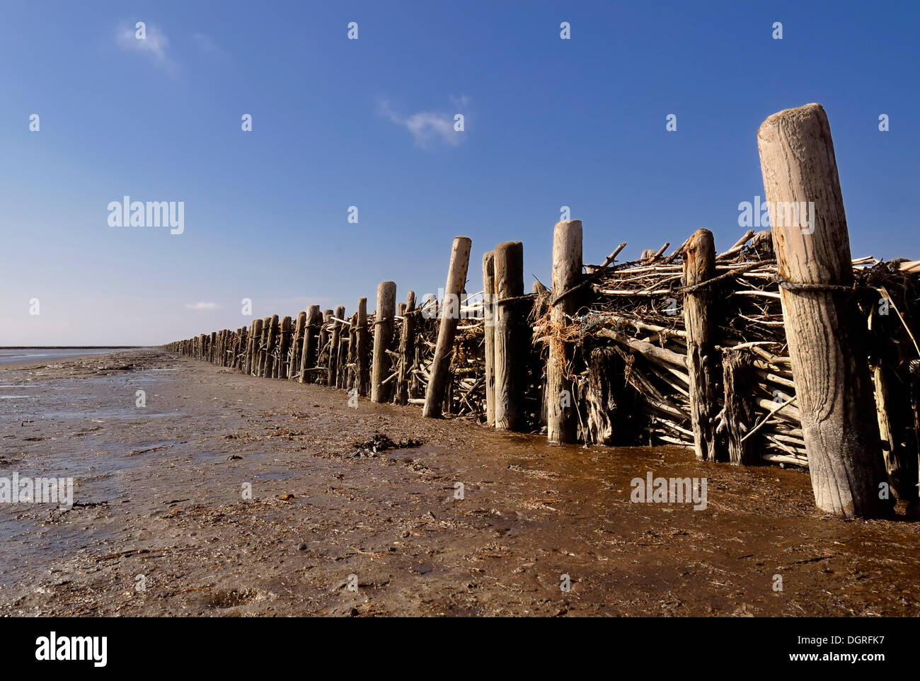 Coastal protection, wood groynes in the Wadden Sea of the North Sea ...