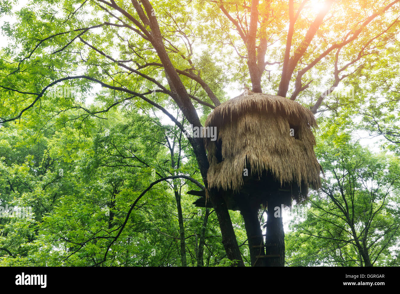 Dark thatched roof hi-res stock photography and images - Alamy