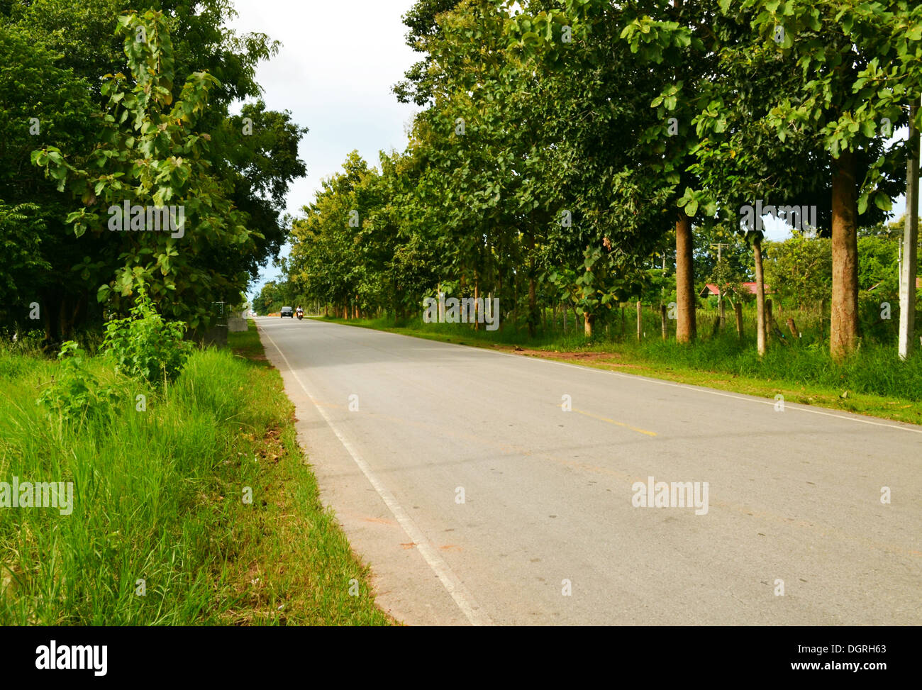 Tree filled landscape hi-res stock photography and images - Alamy