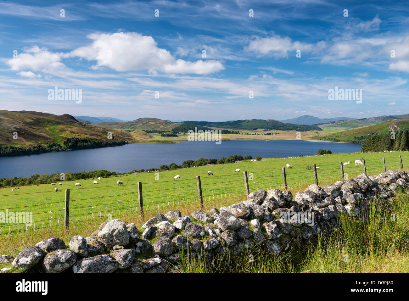 Typical stone wall as a boundary for a pasture, called croft, Loch ...