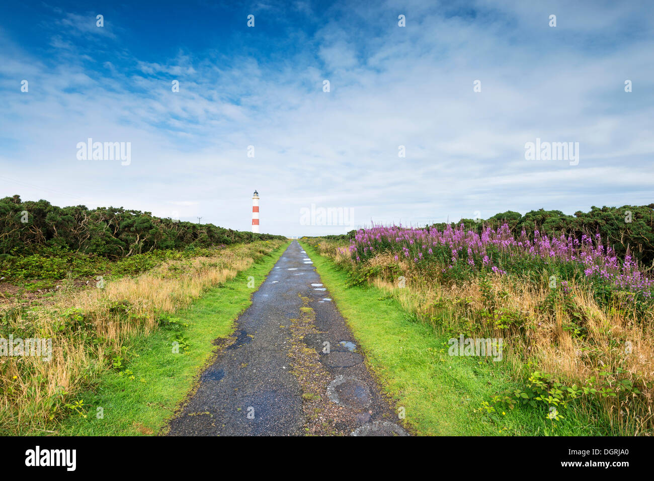 Lighthouse of Tarbat Ness, Wilkhaven, near Portmahomack, northern coast ...