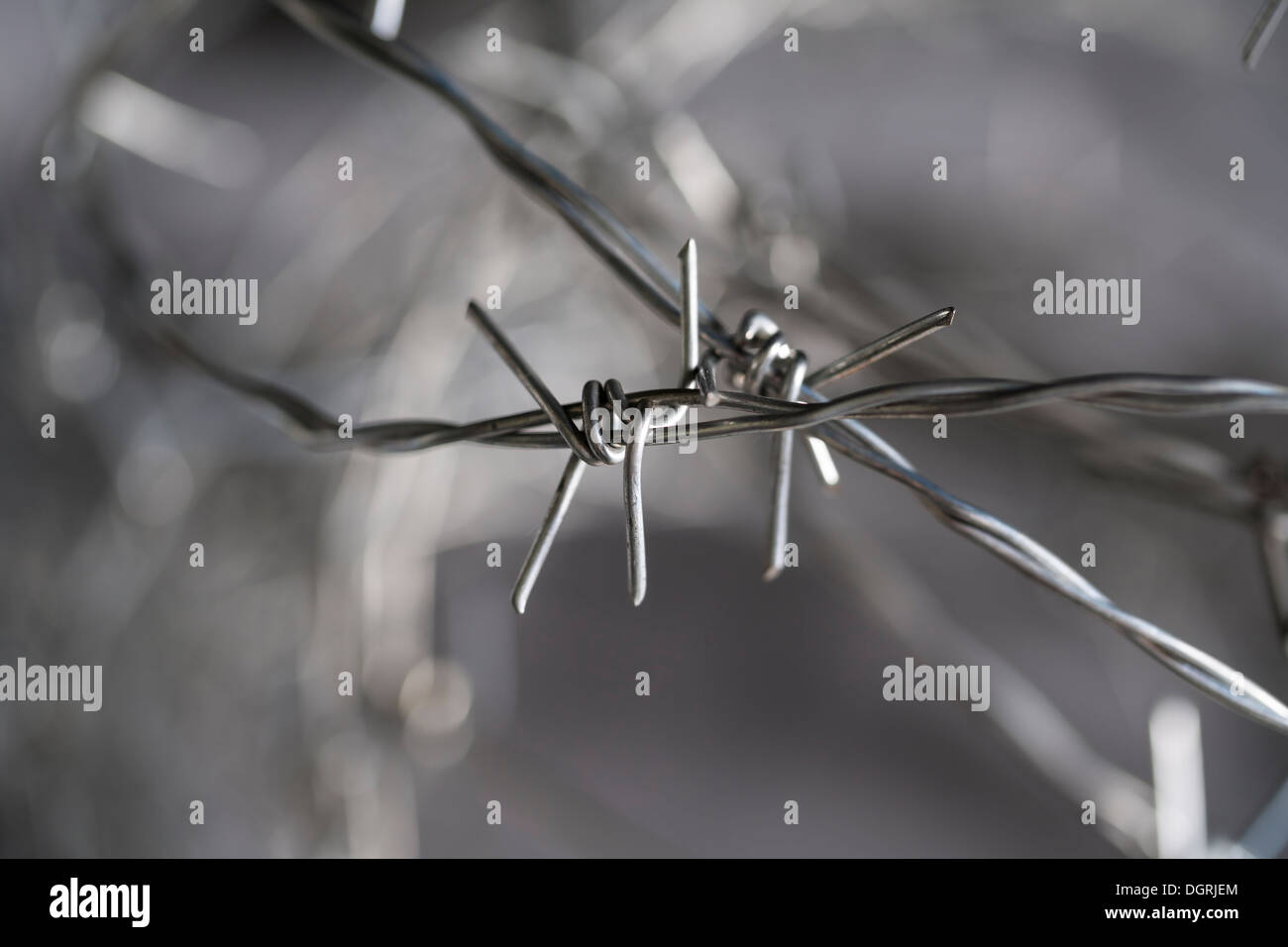 Studio, barb wire, close-up Stock Photo - Alamy