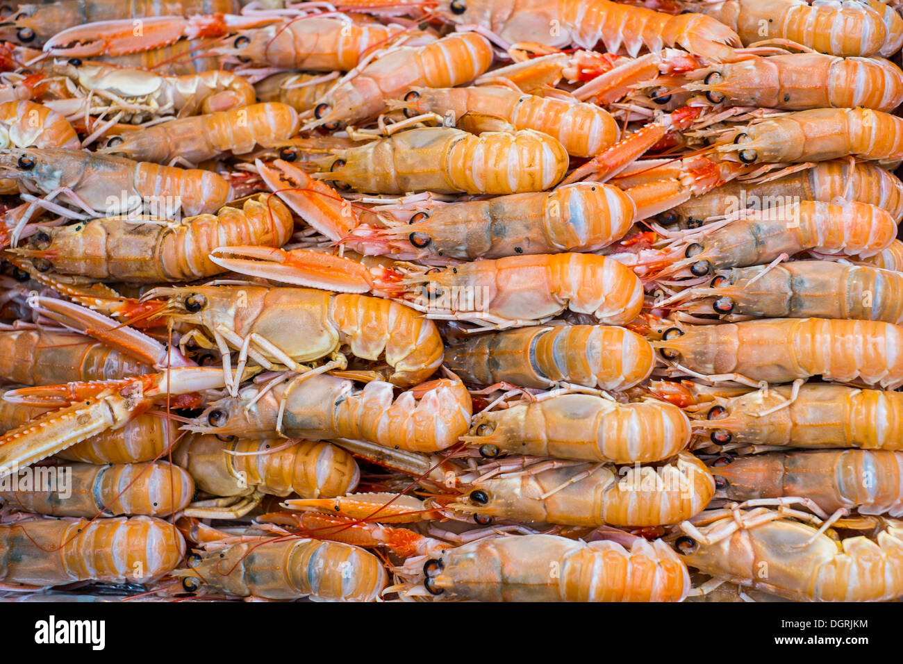 High angle detail of prawns lined up for sale Stock Photo - Alamy