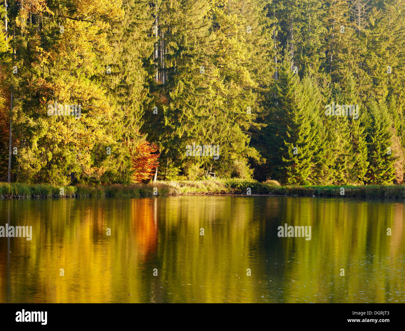 Waldberg hi-res stock photography and images - Alamy