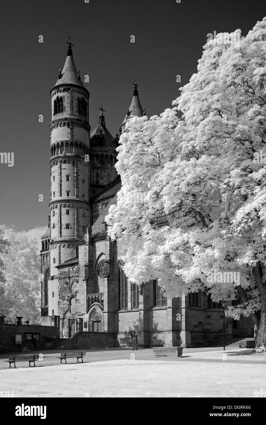 Wormser Dom, Worms Cathedral, Worms, Rhine-Hesse, Rhineland-Palatinate ...