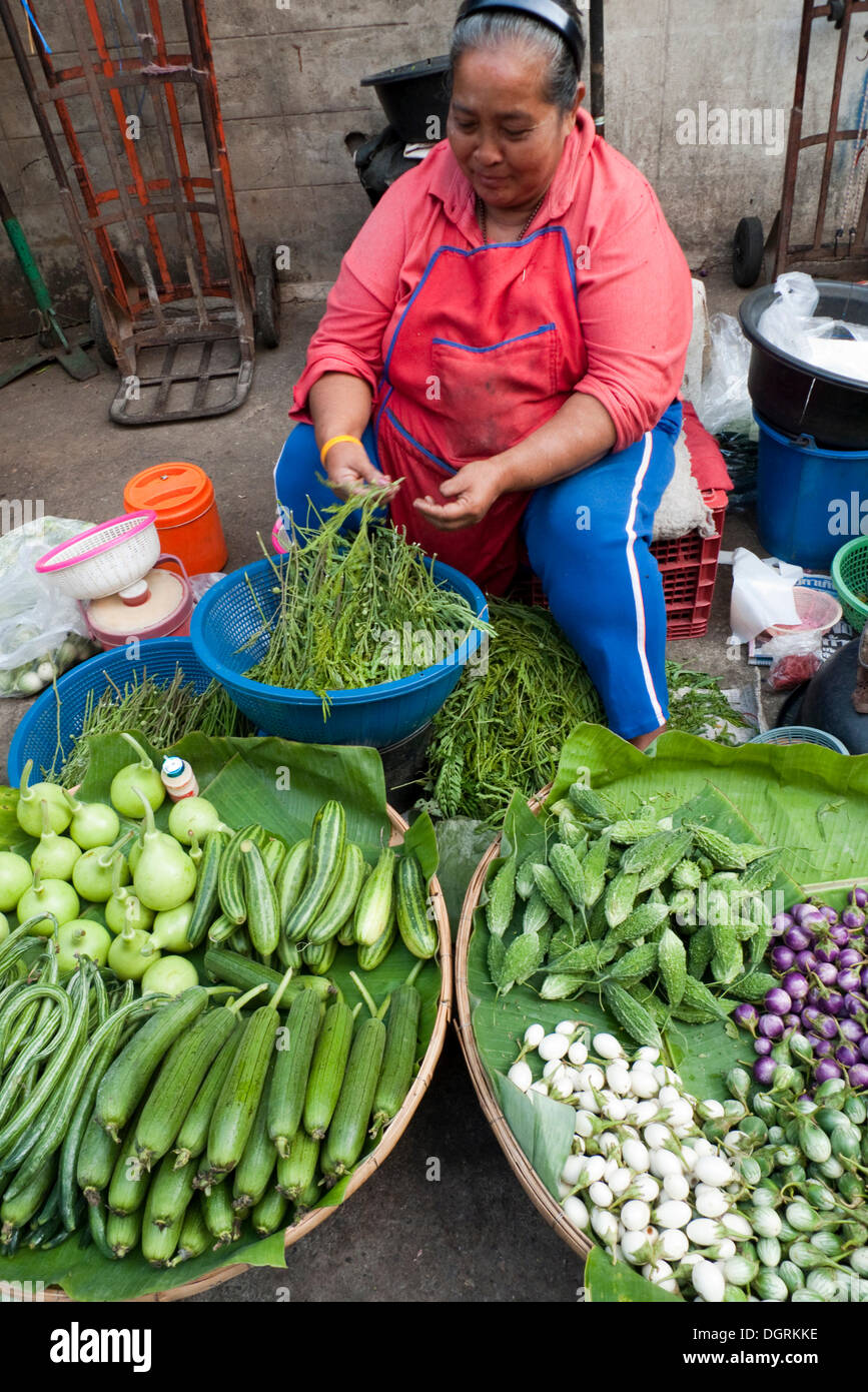 Bangkok nonthaburi hi-res stock photography and images - Alamy