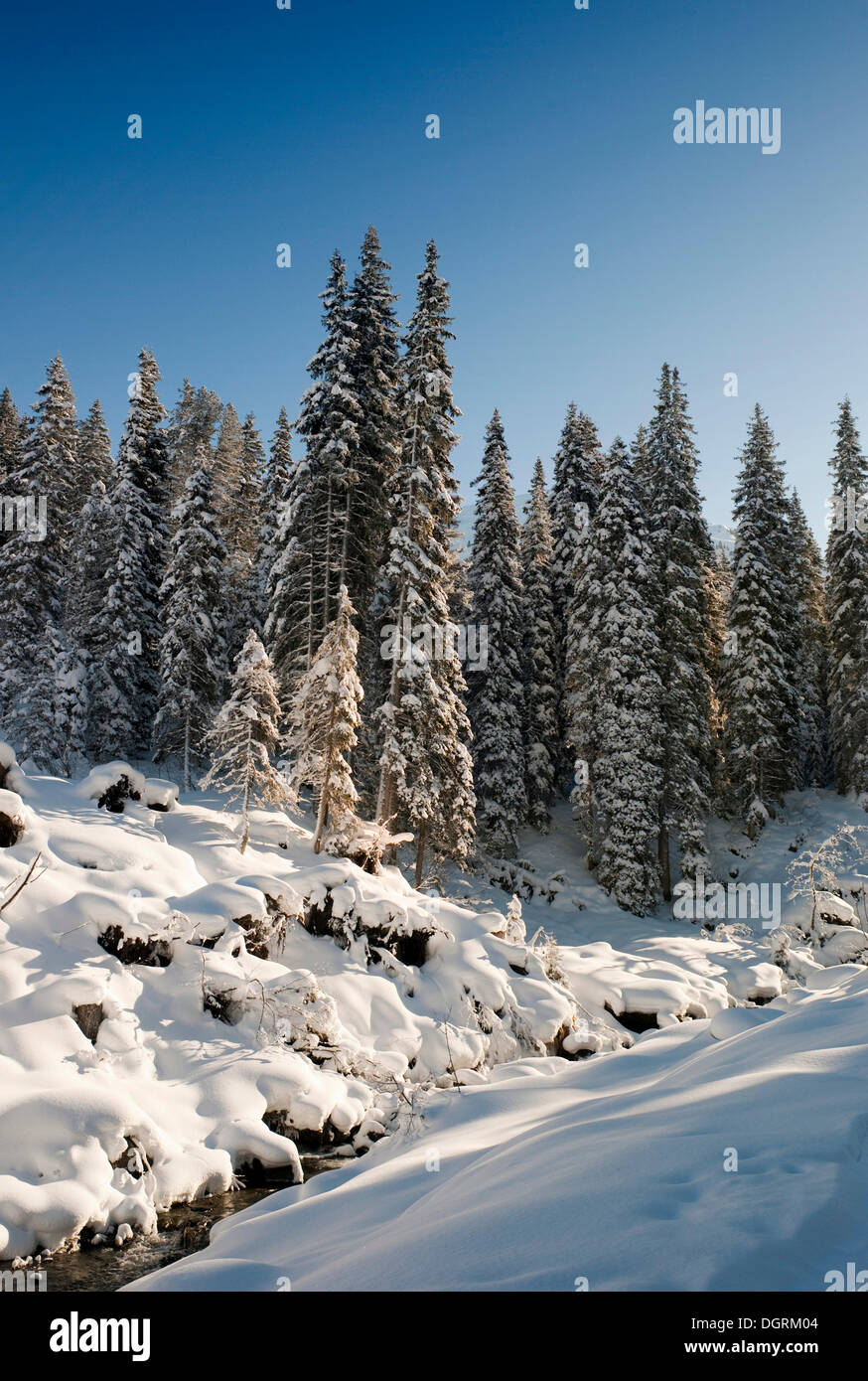 Europe snow forest hi-res stock photography and images - Alamy