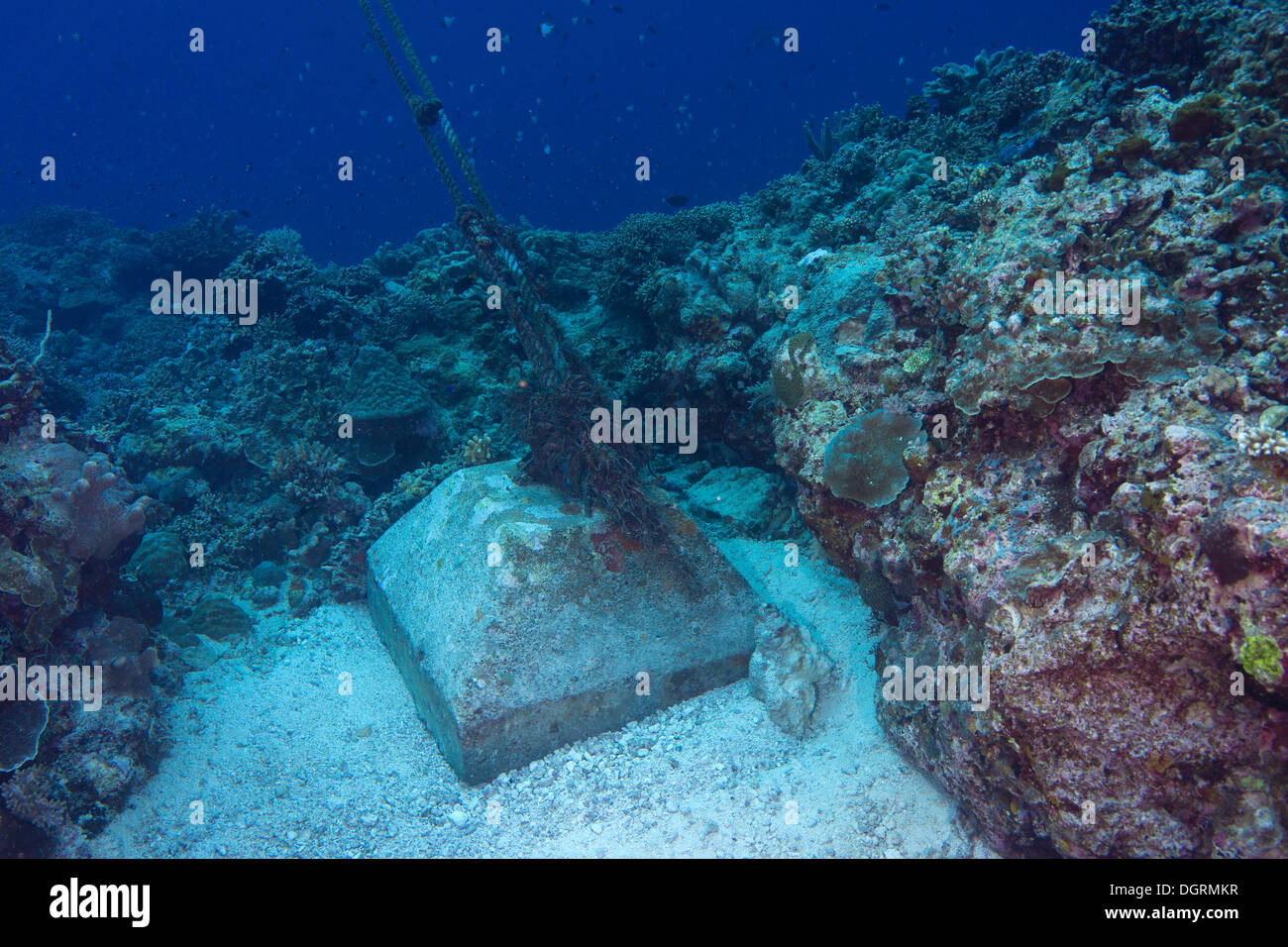 Coral blocks hi-res stock photography and images - Alamy