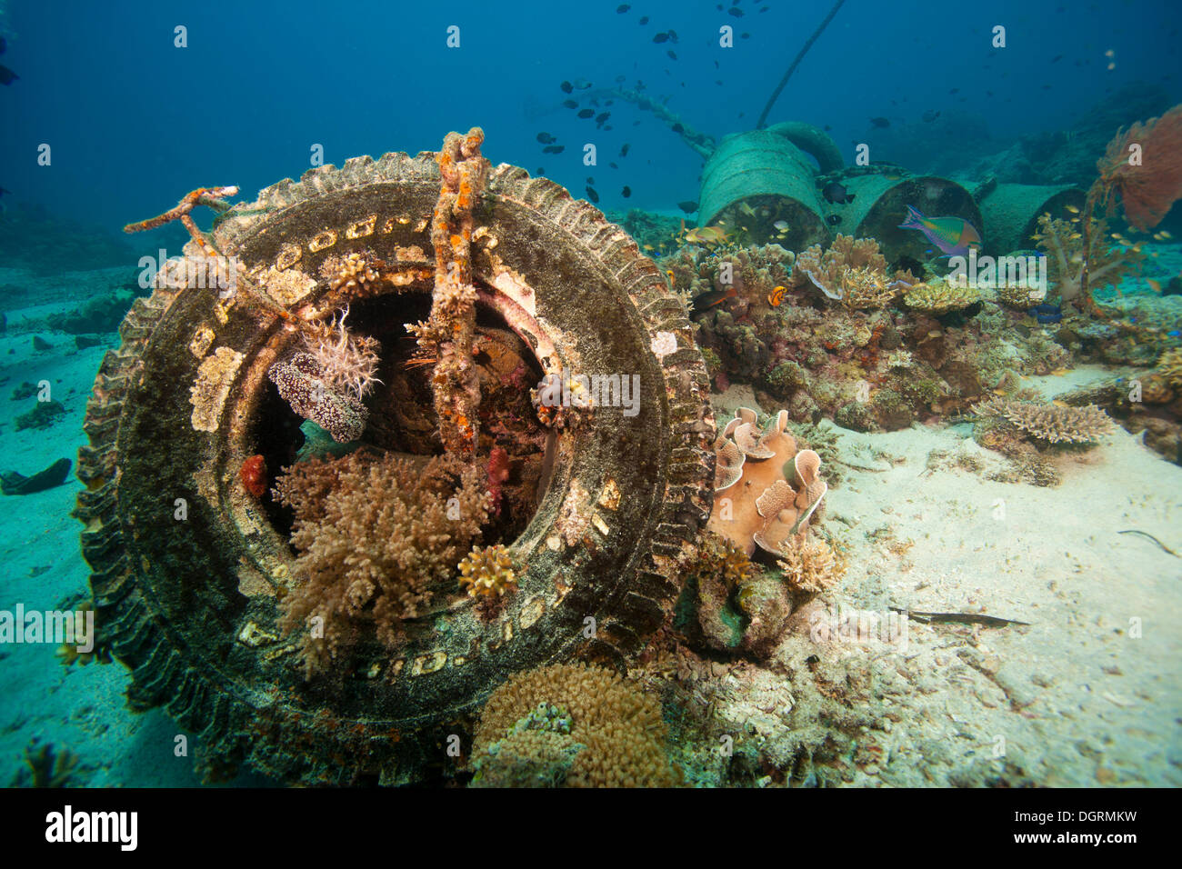 An anchor made of concrete blocks and old barrels in a coral reef ...