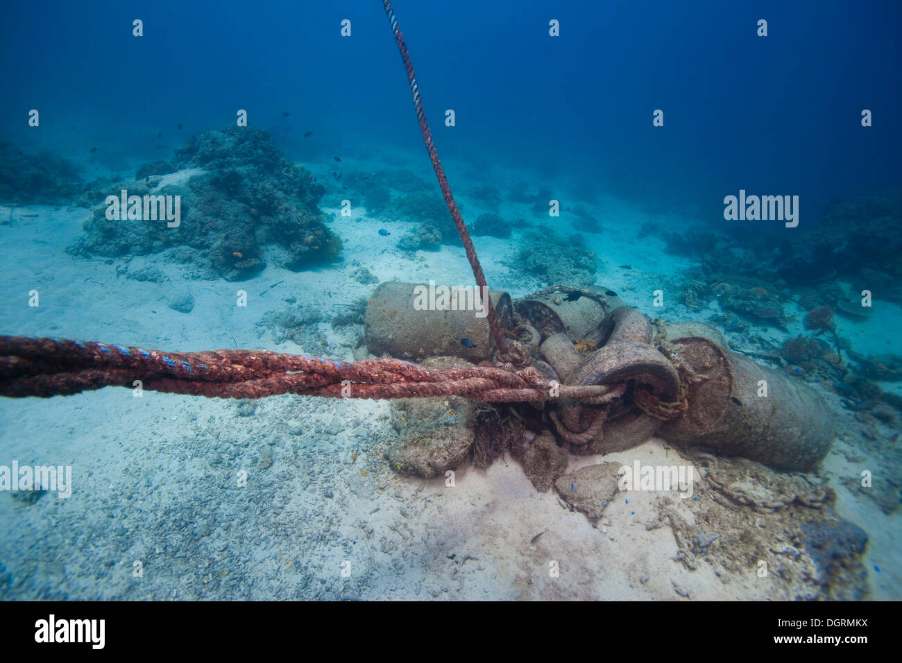 Old coral reefs hi-res stock photography and images - Alamy