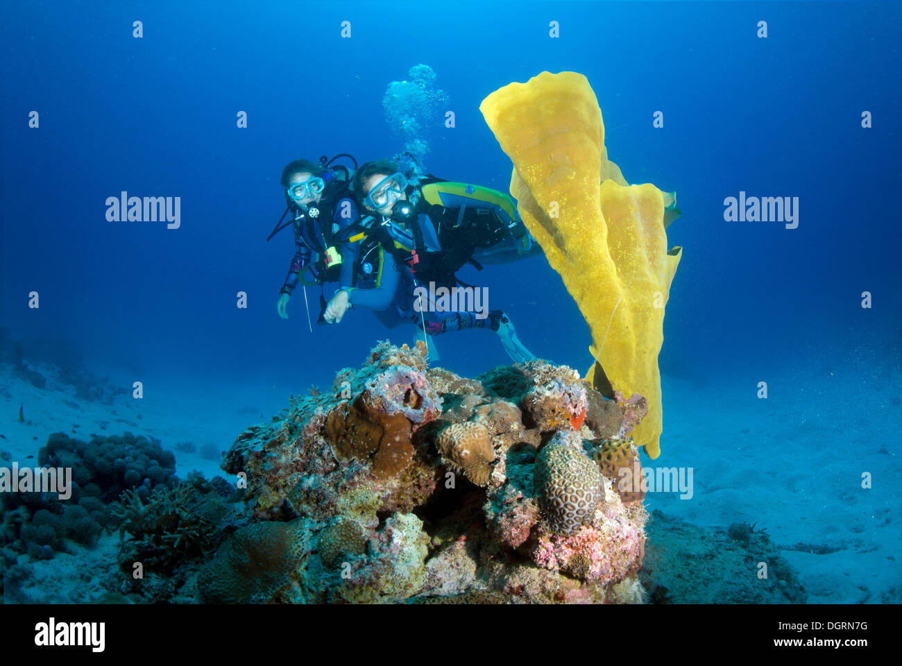 Mimaropa hi-res stock photography and images - Alamy