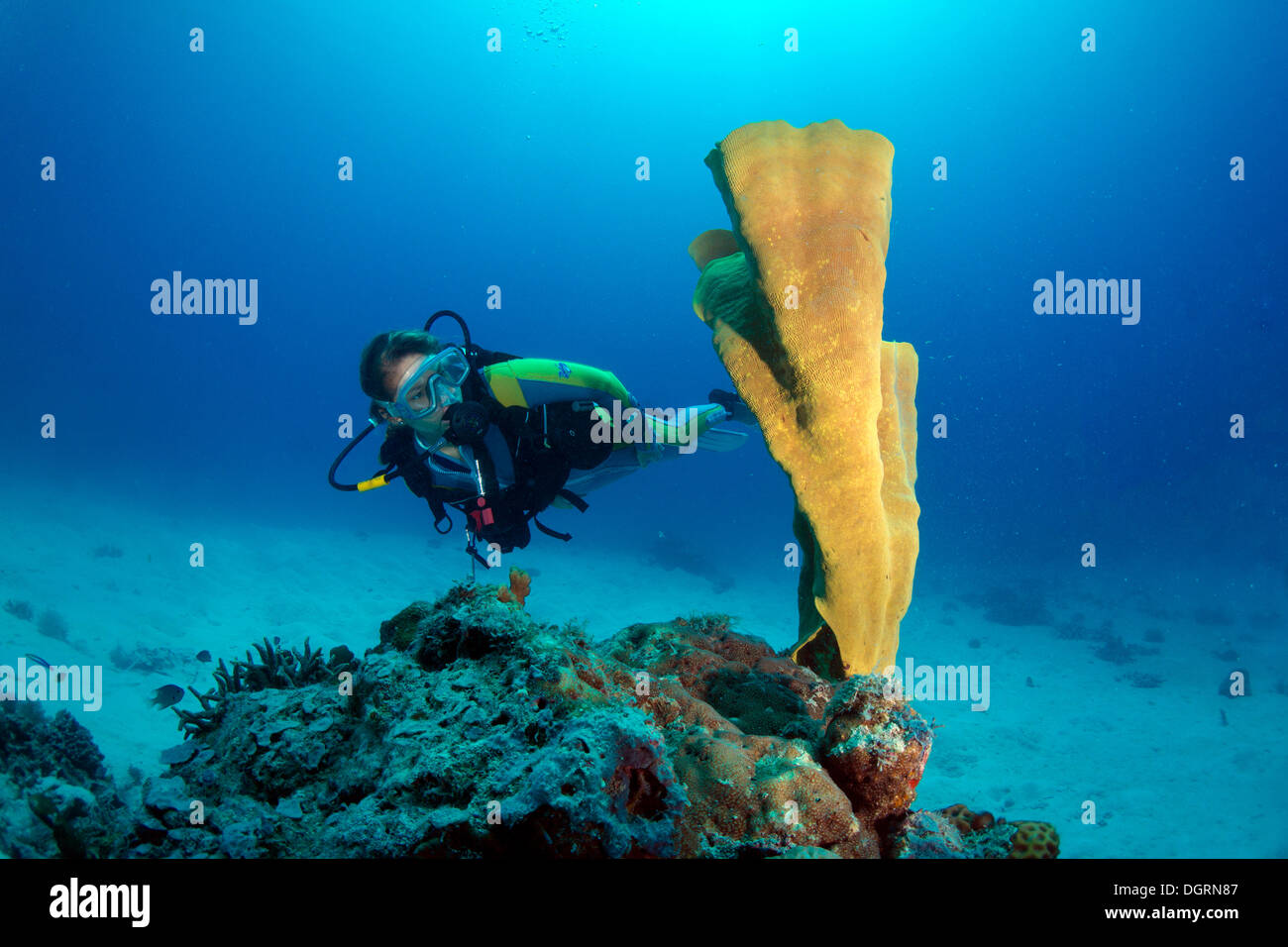 Filipino ethnicity photos hi-res stock photography and images - Alamy