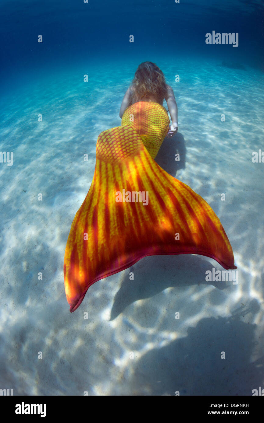 Wearing a swimming suit hi-res stock photography and images - Alamy