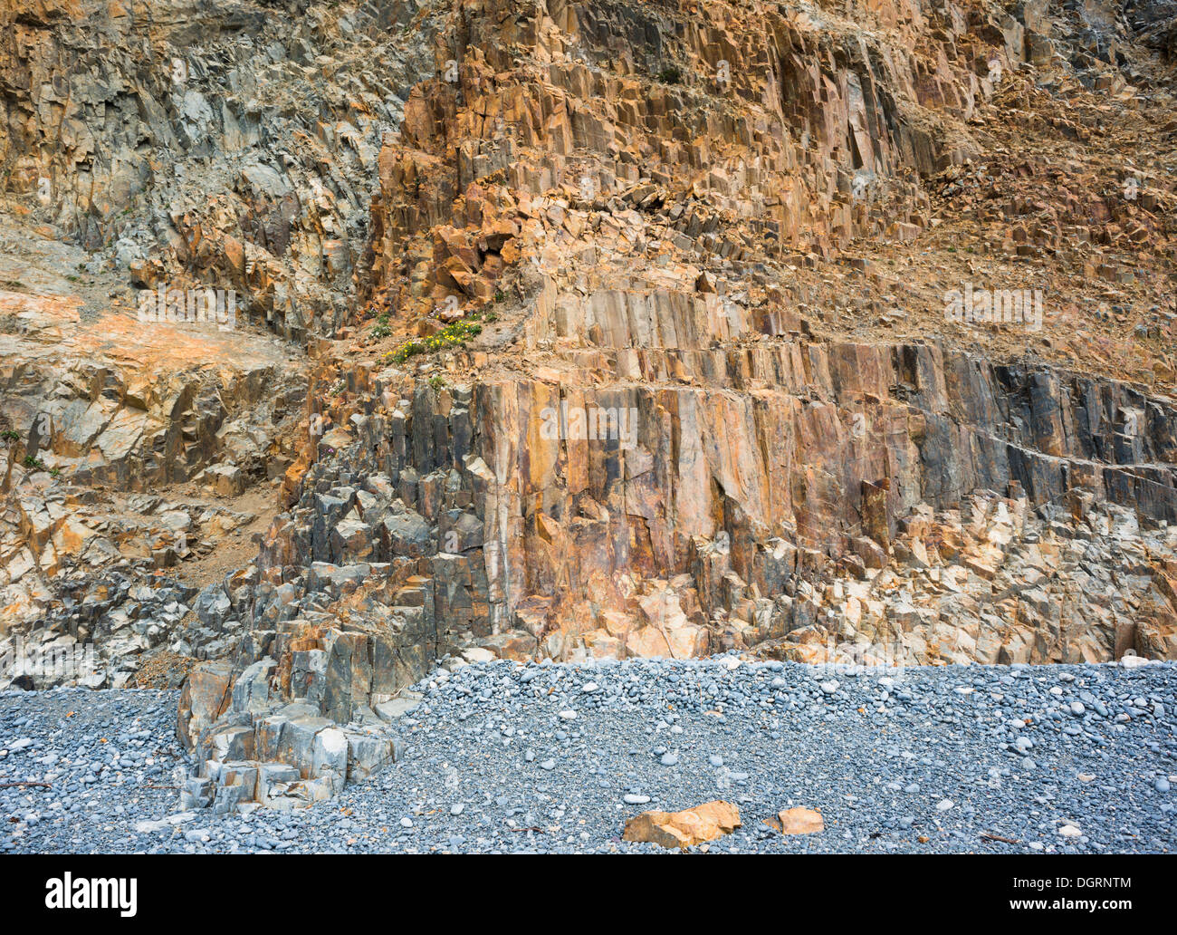 Columnar-jointed Ordovician rhyolite in the cliffs at Knockmahon Beach ...