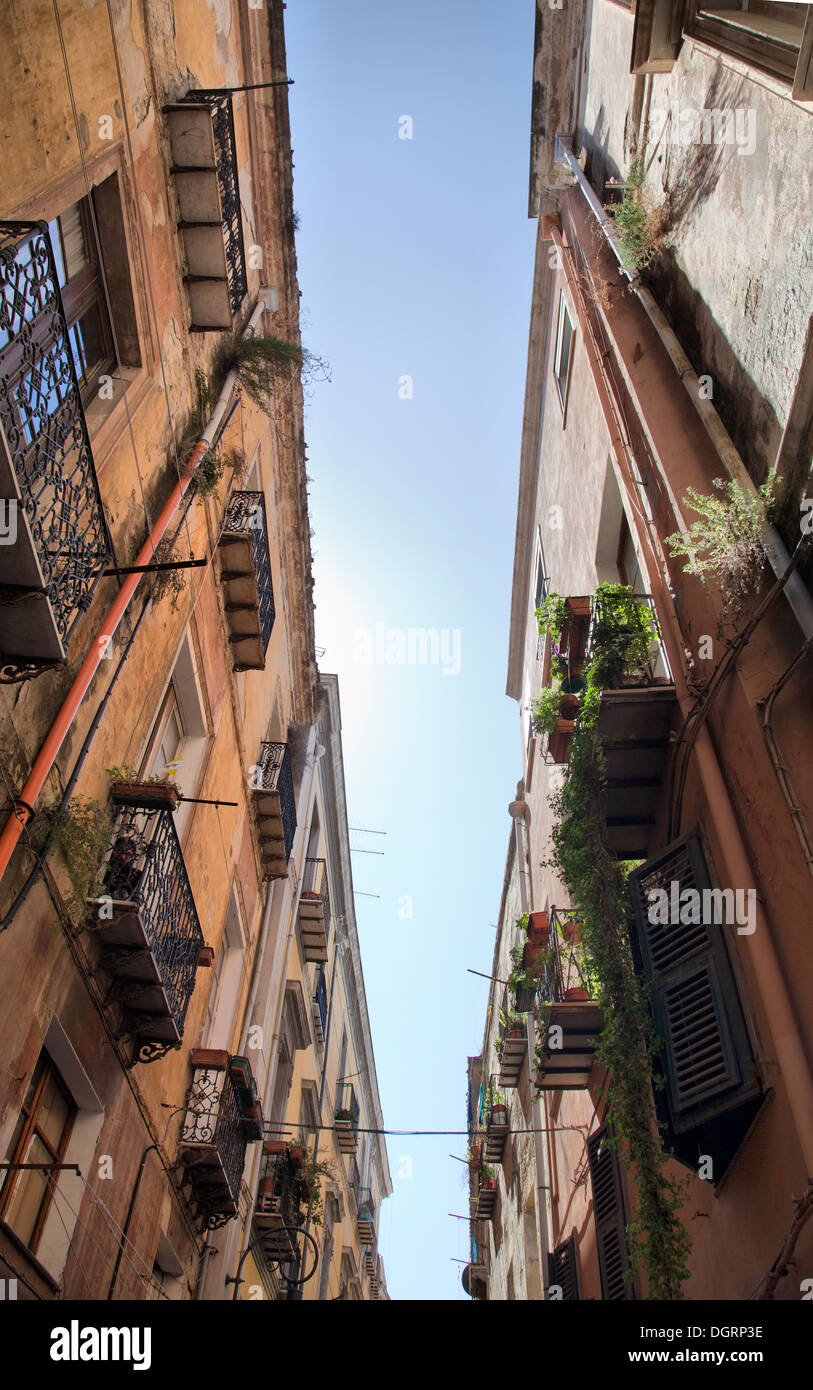 Alberto lamarmora hi-res stock photography and images - Alamy
