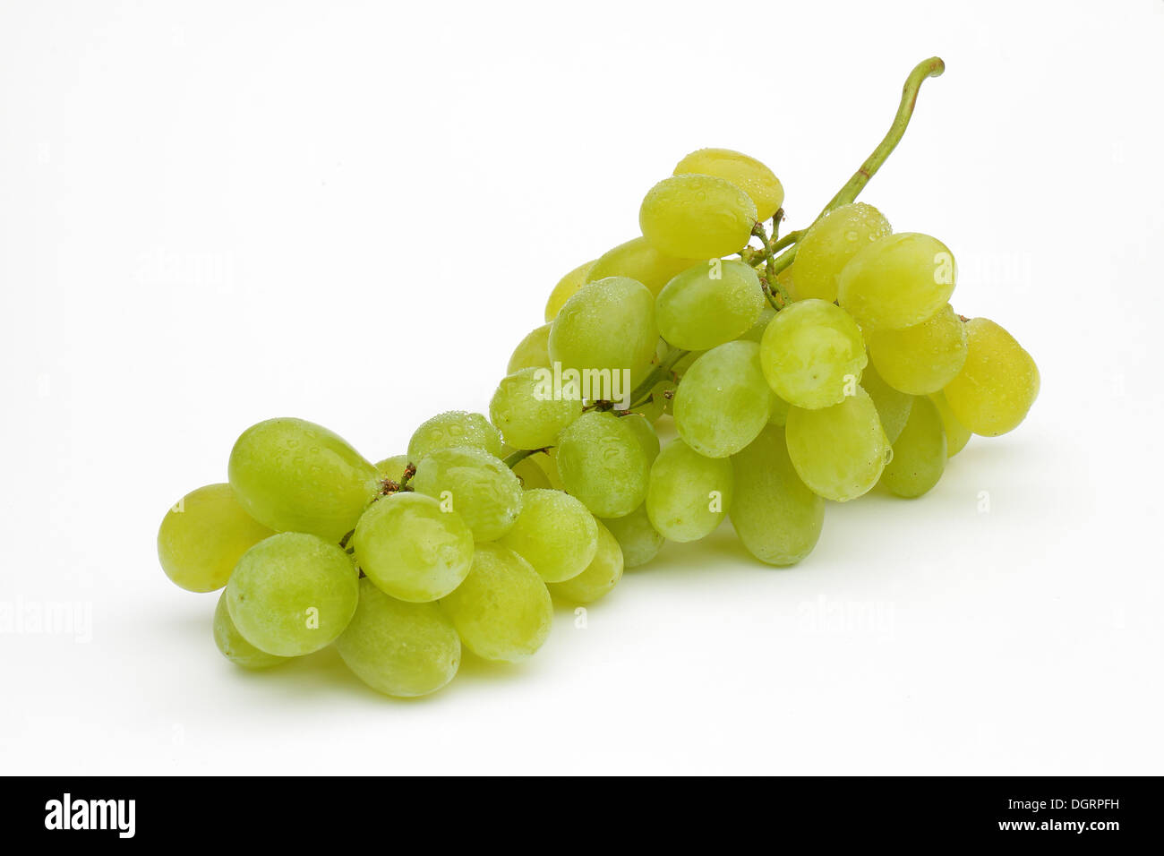 Grune traube hi-res stock photography and images - Alamy