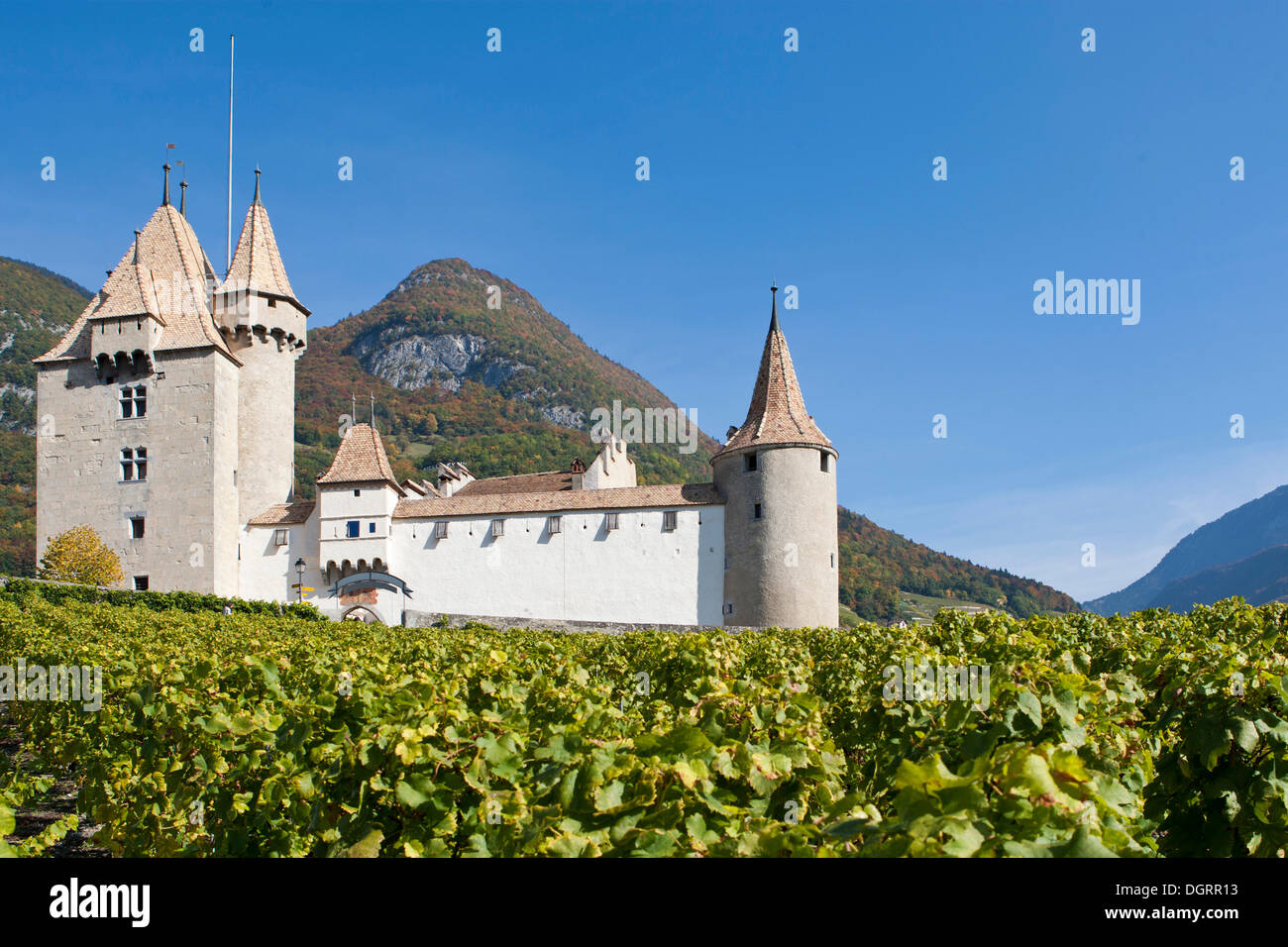 Chateau d'Aigle in the vineyards of Lausanne, Canton of Vaud ...